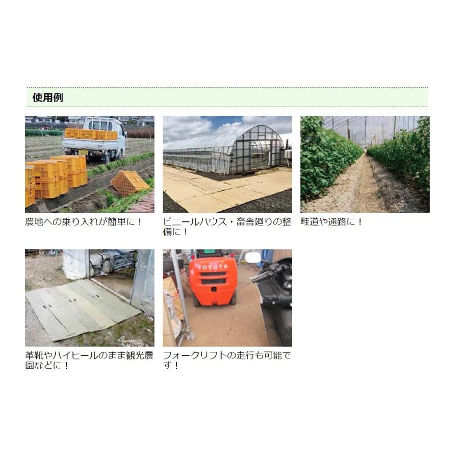 ウッドプラスチックテクノロジー 農業用敷板 Diban 片面凸 カラー:茶系 910×1820×13 3x6 1枚 個人宅配送不可 : zz468 : ならのき - 通販 - Yahoo!ショッピング