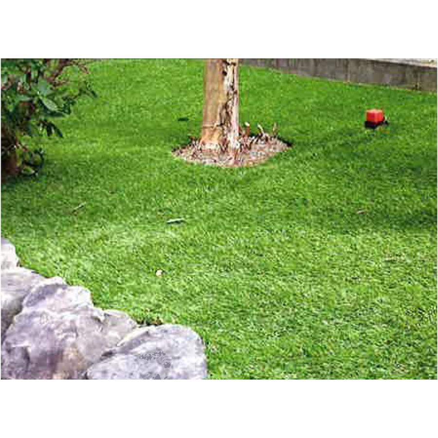 リアル人工芝 ハーモニーターフソフト芝高28mmx幅1mx長10m : 庭をたのしむ材料屋なるぞう - 通販 - Yahoo!ショッピング