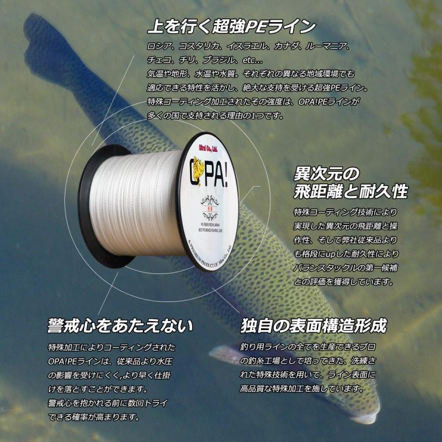 PEライン 釣り糸 単色 300m 釣り道具 0.4号 0.6号 0.8号 1号 1.5号 2号 2.5号 3号 ホワイト 青物 : Native Fish Dreams - 通販 ...