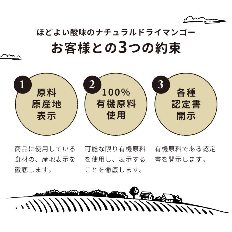 8%OFFクーポン ドライマンゴー 砂糖不使用 420g 大容量 有機原料使用 乾燥 フルーツ 無添加 ポイント消化 : ナチュマート - 通販 - Yahoo!ショッピング