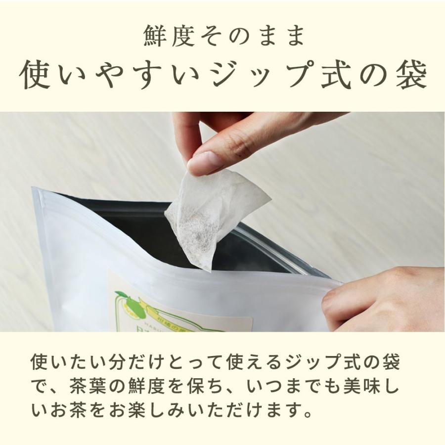 5%OFFクーポン 甜茶 じゃばら ブレンド ティー 60g (2g×30包) ティーバッグ 晴花茶 てんちゃ 邪払 ポイント消化 : ナチュマート - 通販 - Yahoo!ショッピング