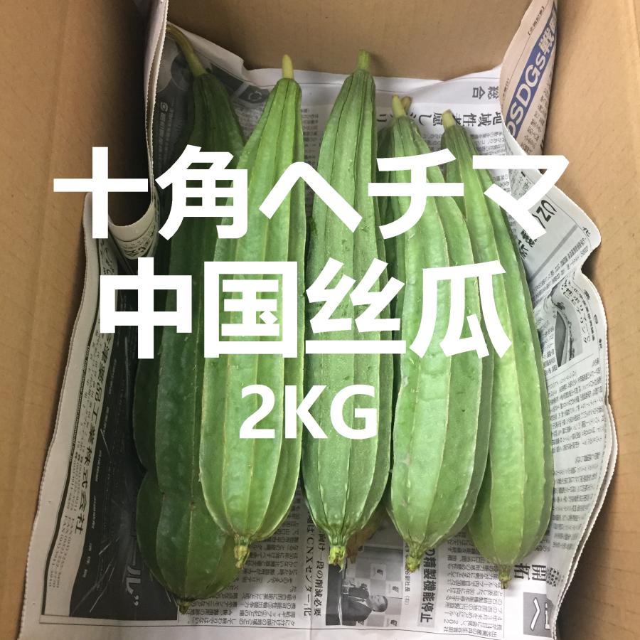 十角ヘチマ（中国ヘチマ）2kg : hechima : 自然素材研究所 - 通販 - Yahoo!ショッピング