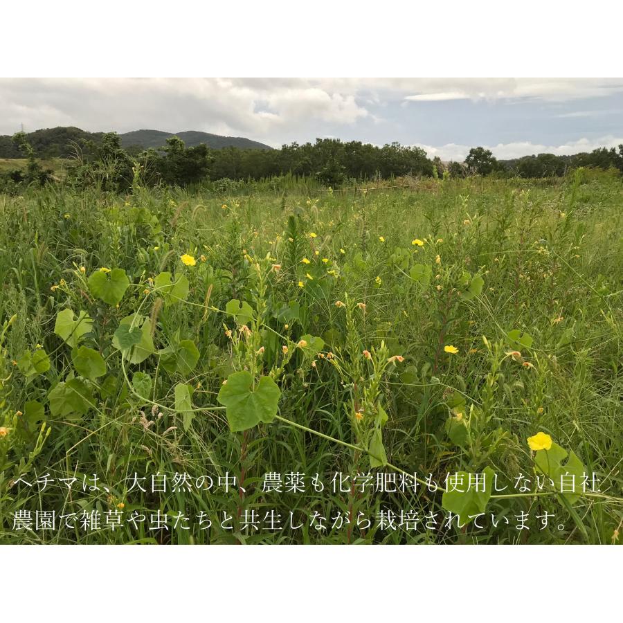 十角ヘチマ（中国ヘチマ）2kg : hechima : 自然素材研究所 - 通販 - Yahoo!ショッピング