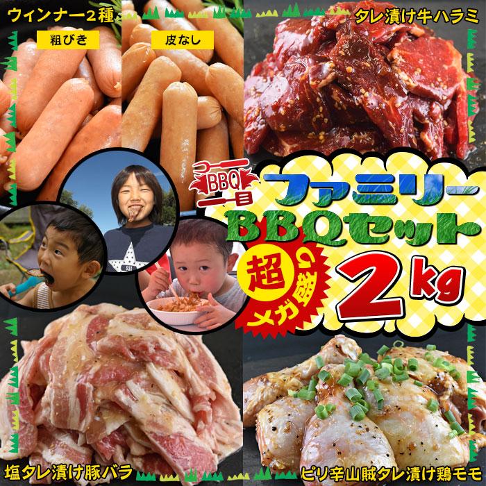 肉 牛肉 バーベキュー BBQ 2kg ファミリーバーベキュー 超メガ盛り 5〜7人前 豚肉 鶏肉 ウィンナー2種 : NATURAL PORK LINK - 通販 - Yahoo!ショッピング