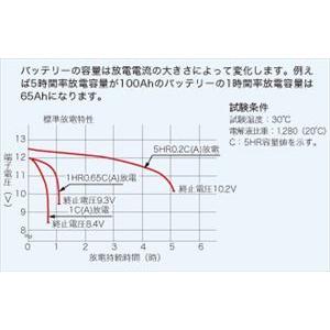 G.S YUASA バッテリ EBグランドスターシリーズ EB50 (端子形状分類記号：LE)[正規品／セール中] : ナチュラル スカイ ...