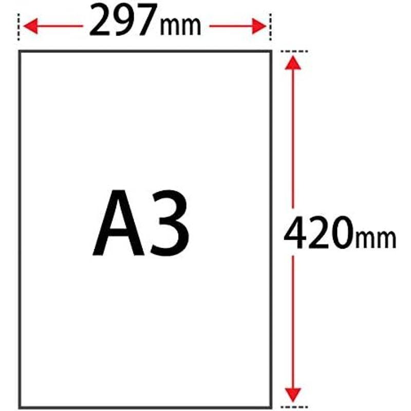 アンディ・ウォーホル ネコの絵 ポスターaoipro (A4サイズ（白フレーム付き）) :20240113221114-01428:nature.yshop - 通販 - Yahoo!ショッピング