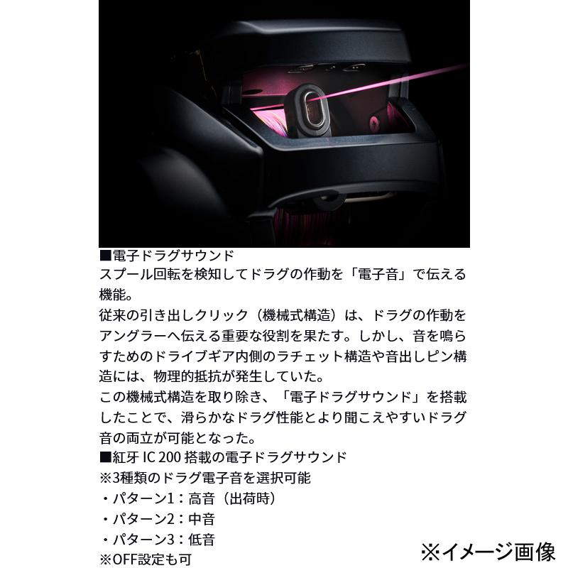 DAIWA（釣り） 船・石鯛リール ダイワ 24紅牙 IC 200P 右ハンドル : ナチュラム フィッシング専門店 - 通販 - Yahoo!ショッピング