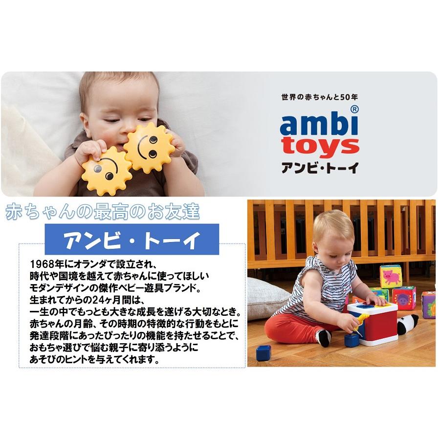 ボーネルンド BorneLund ロックブロック アンビ・トーイ ambitoys 赤ちゃん おもちゃ AM31151J プレゼント 知育玩具 : ナビッピドットコムオンライン - 通販 ...