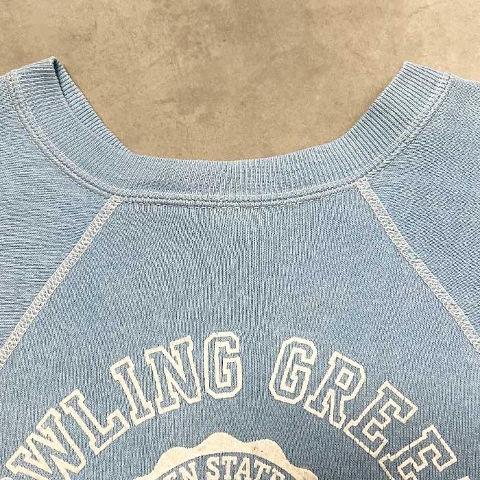 60's VINTAGE Flocky Print Raglan Sleeve Sweat Shirts L.BLUE/S 60年代 ...