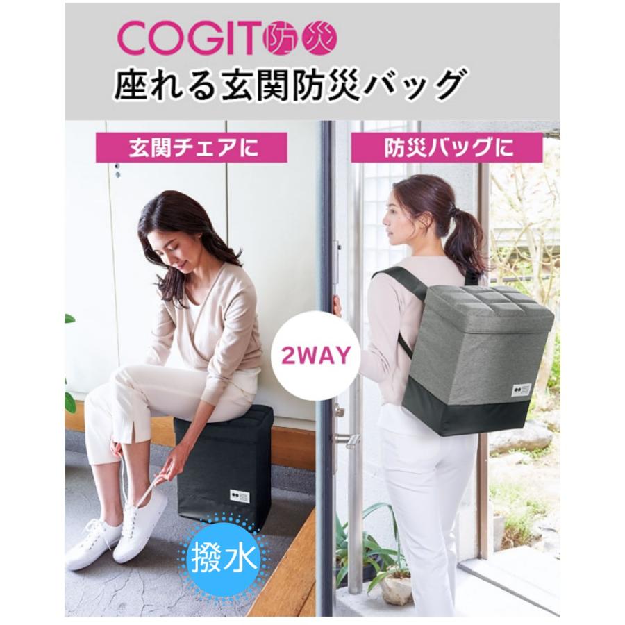 COGIT 防災 座れる バッグ スツール 収納 椅子 防災バッグ 防災グッズ オシャレ 収納椅子 コジット 玄関チェア 収納BOX 大容量 耐荷重100キロ : ネアス Yahoo!shop ...