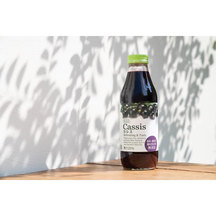 順造選 カシス ジュース20 500ml×12本セット : neelセレクトショップ 2nd Yahoo!店 - 通販 - Yahoo!ショッピング