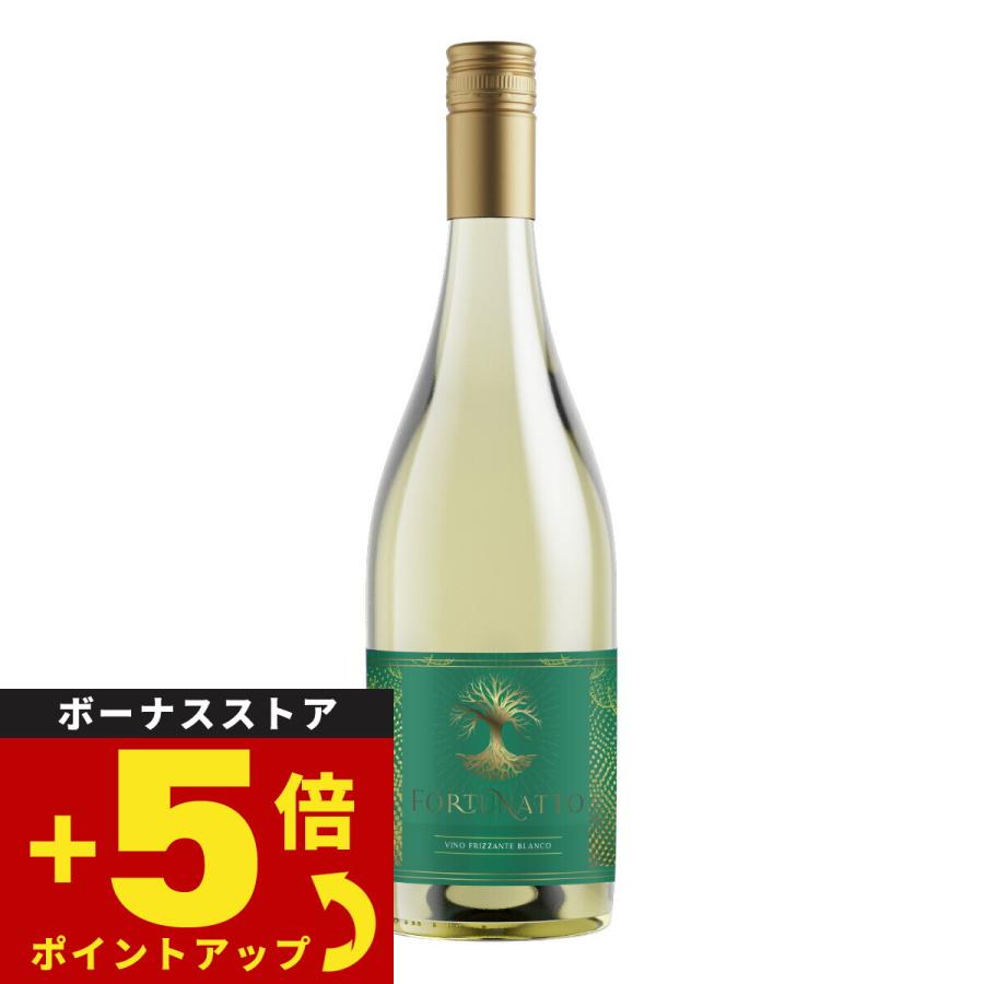 フォルトゥナート ヴィノ フリッツァンテ ブランコ チリ産 辛口 白ワイン 金賞 メダル 750ml×12本 : neelセレクトショップ Yahoo!店 - 通販 - Yahoo!ショッピング