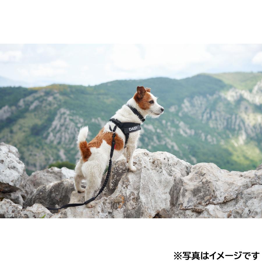 イージードッグ EZYDOG エクスプレスハーネス M レッド ハンドル付き 反射 中型犬 : ペットショップneel - 通販 - Yahoo!ショッピング