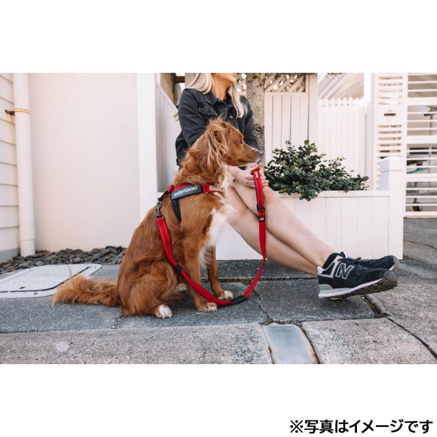 イージードッグ EZYDOG エクスプレスハーネス L レッド ハンドル付き 反射 大型犬 : ezdg058566 : ペットショップneel - 通販 - Yahoo!ショッピング