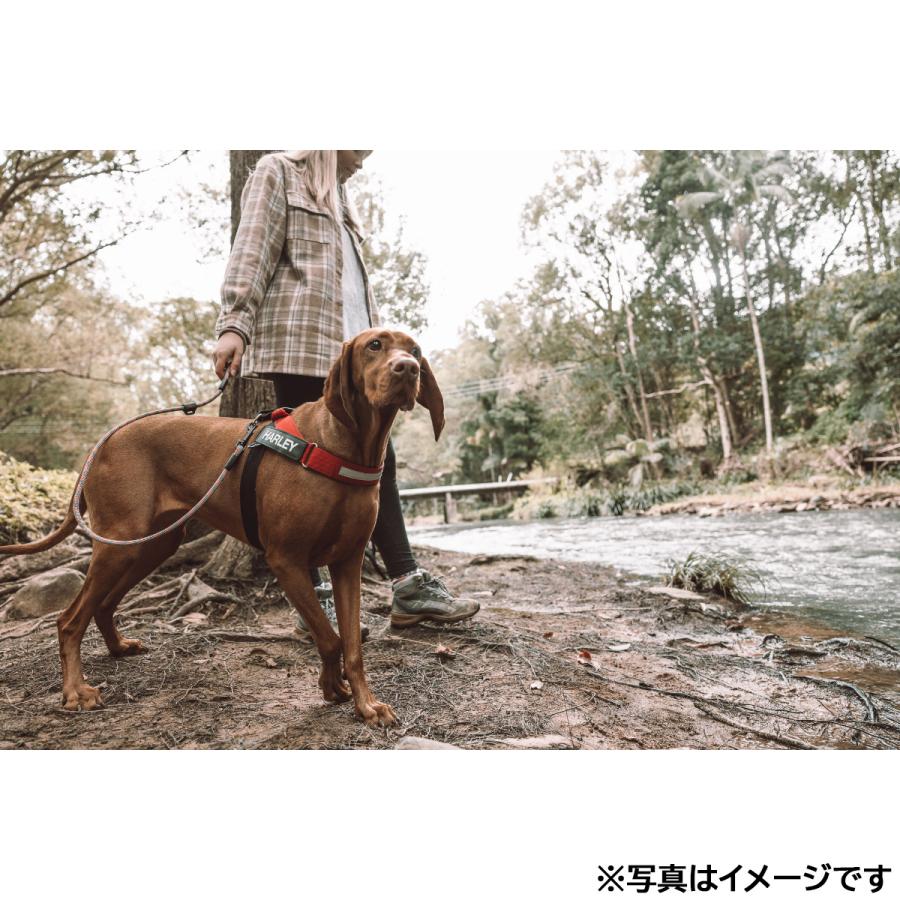 イージードッグ EZYDOG サミットリード 9mm ブルー 登山用ロープ : ペットショップneel - 通販 - Yahoo!ショッピング