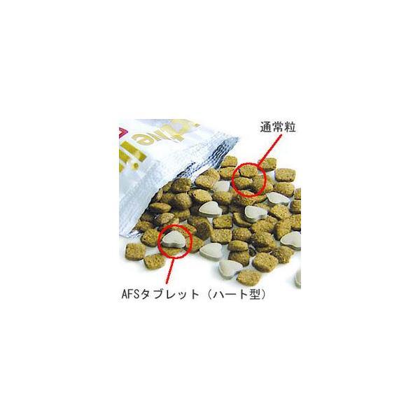 フォルツァ10 キャットフード ウェイトコントロール アクティブ（低カロリー 療法食）454g×3袋 : frz126 : ペットショップneel - 通販 - Yahoo!ショッピング