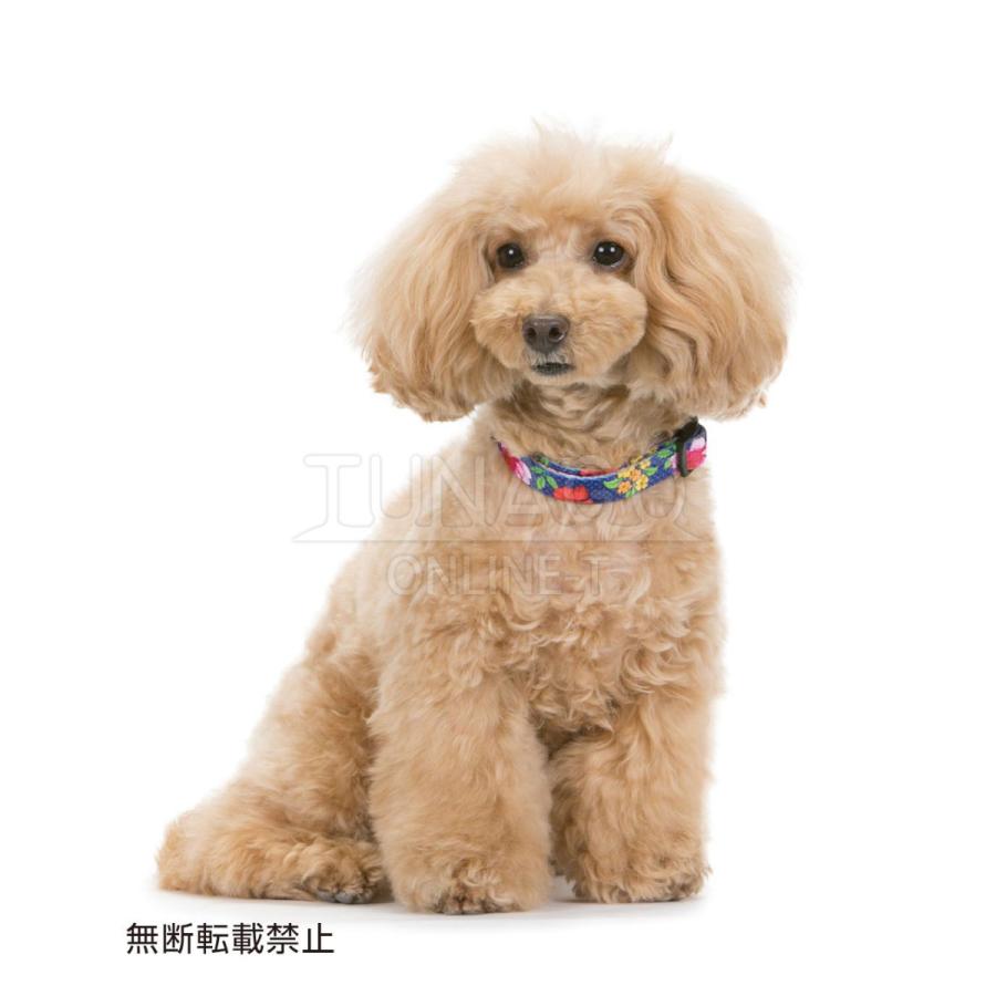 オッポ OPPO ツナゴ TUNAGO サブリメーションカラー M プールパーティ-B : ペットショップneel - 通販 - Yahoo!ショッピング