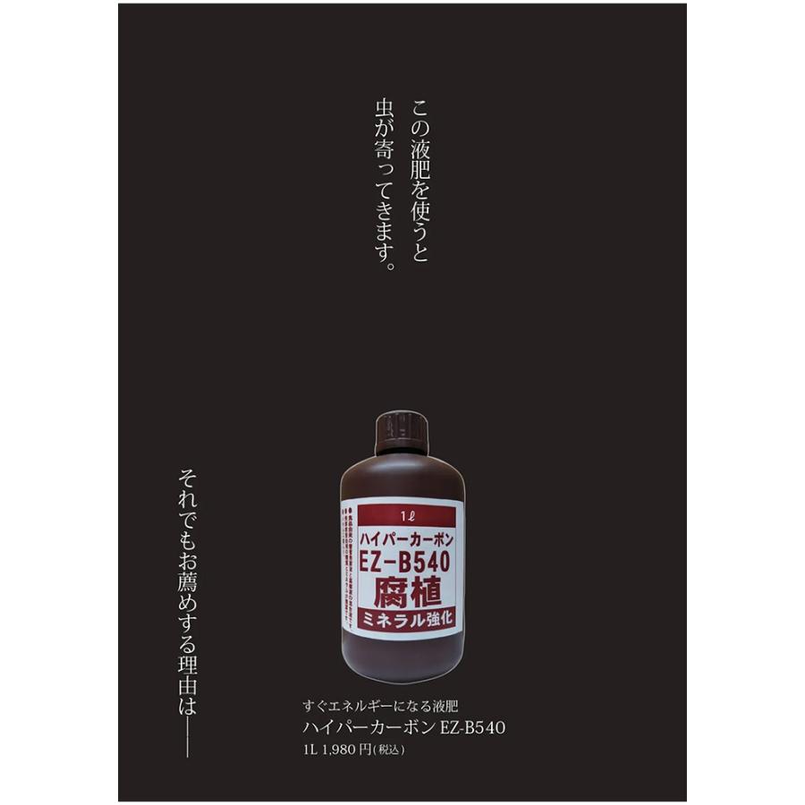 ハイパーカーボンEZ-B540 20L エンザイム 肥料 液肥 メーカー直送 : ネギ参謀オンラインショップ Yahoo!店 - 通販 ...