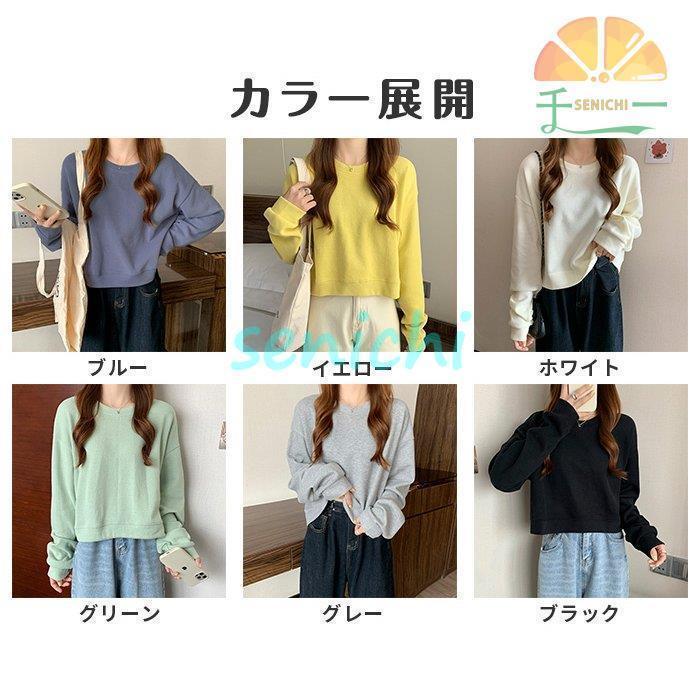 人気商品 レディース トップス トレーナー スウェット プルオーバー 無地 長袖 春 秋 冬 フリーサイズ お洒落 シンプル カラフル ...
