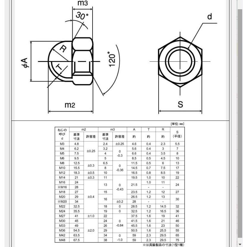 M10 P=1.25 ステン袋ナット : ねじ各種とリコイルのnejiya.jp - 通販 - Yahoo!ショッピング