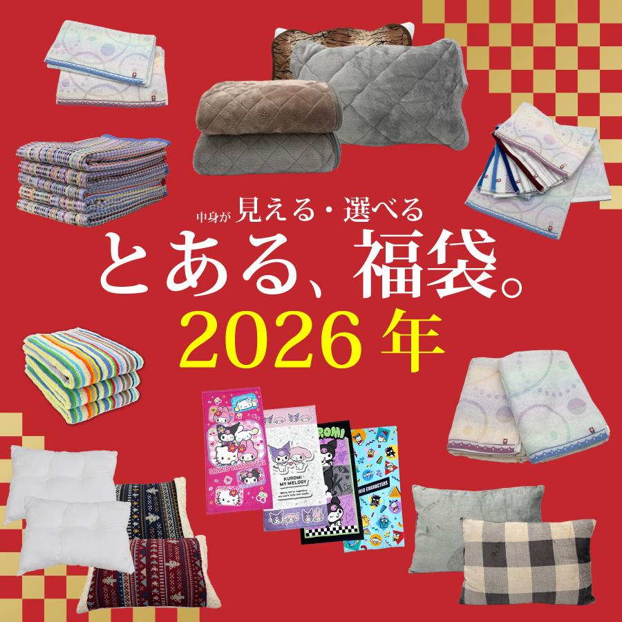 2025円均一 2025年福袋 「とある、福袋」中身が見える、選べる福袋 寝具 タオル キャラクター今治タオル まくら 秋冬 新年 初売り 年末年始 正月 : 22-ut-2025fb ...