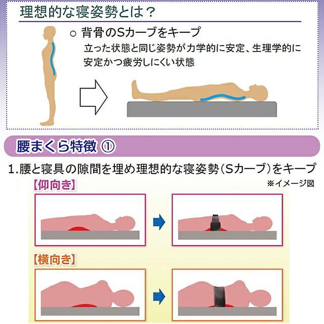 腰まくら 腰枕 寝ながら腰ケア ブラウン 日本製 OSHIN オーシン 送料無料 :os-waistpillowslim-sm:いきいきショップねんりん - 通販 - Yahoo!ショッピング