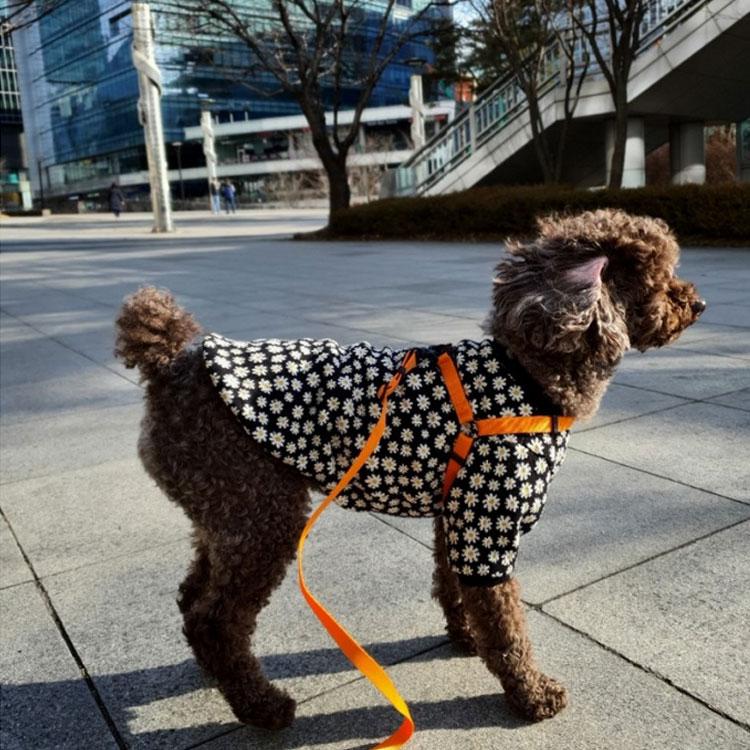 ( ニット生地 ) デイジージャガードニット 生地 │大幅130cm 【 商用利用可 】 : ja08ju375512 : NESSHOME - 通販 - Yahoo!ショッピング