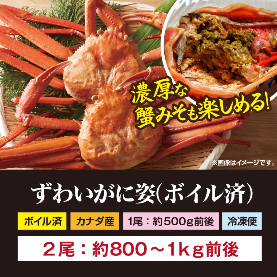 【大阪中央卸売市場より直送！】ボイル ずわいがに姿 2尾（約800g〜1kg） : ネットdeグランマルシェYahoo!店 - 通販 - Yahoo!ショッピング