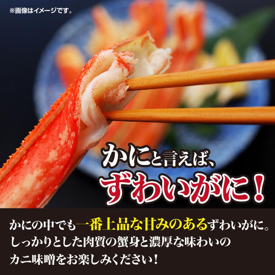 【大阪中央卸売市場より直送！】ボイル ずわいがに姿 2尾（約800g〜1kg） : ネットdeグランマルシェYahoo!店 - 通販 - Yahoo!ショッピング