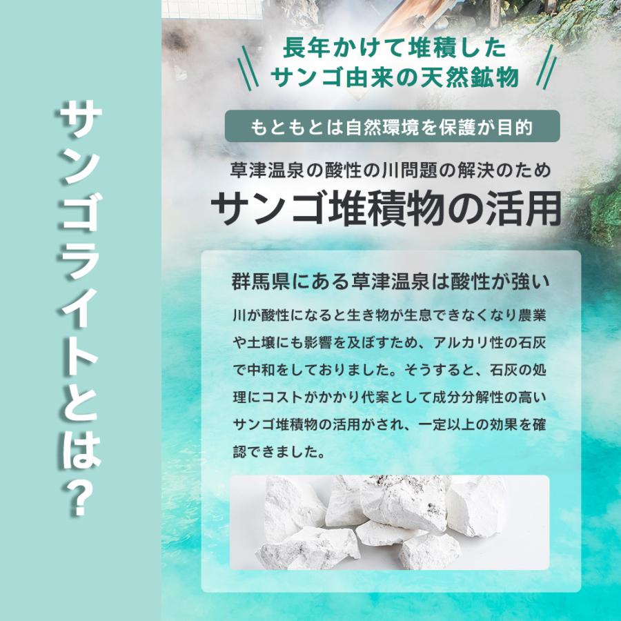 GUDi グッドアイ サンゴライト クレイインジェルパック / 100g : プロ用ヘアコスメnetsbee - 通販 - Yahoo!ショッピング