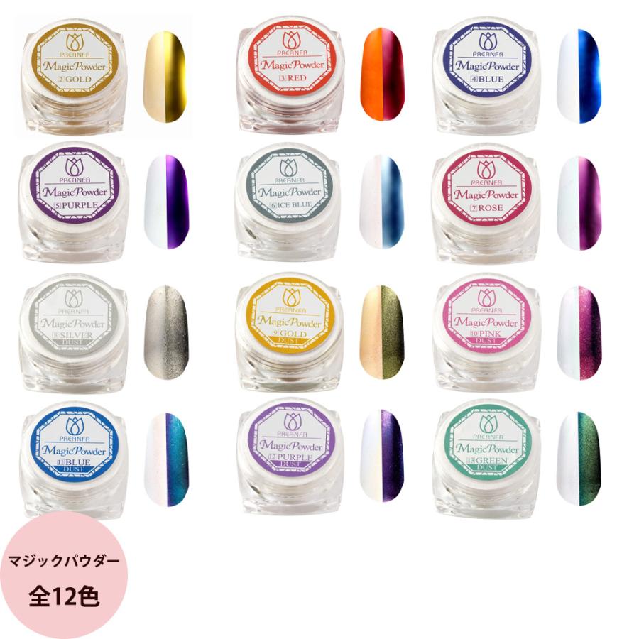 PREGEL プリジェル マジックパウダー 全12色 スポンジチップ2本付き / 2g （定形外 対応） : プロ用ヘアコスメnetsbee - 通販 - Yahoo!ショッピング