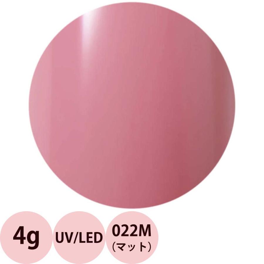 Raygel レイジェル カラージェル 022M （マット） / 4g （定形外 対応） : プロ用ヘアコスメnetsbee - 通販 - Yahoo!ショッピング