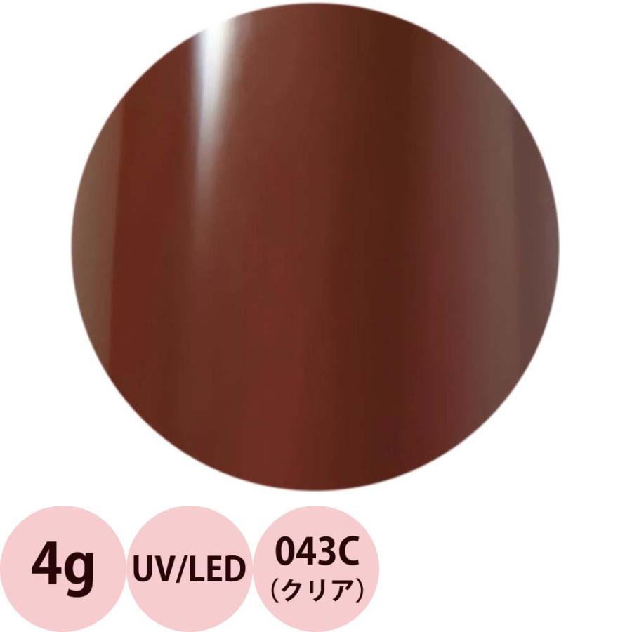 Raygel レイジェル カラージェル 043C （クリア） / 4g （定形外 対応） : プロ用ヘアコスメnetsbee - 通販 ...