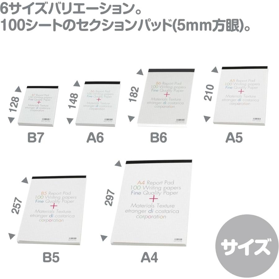エトランジェ・ディ・コスタリカ レポート用紙 A4 5mm方眼 青 SP-A4-02 : k-0264 : ネットショップACBヤフー店 - 通販 - Yahoo!ショッピング