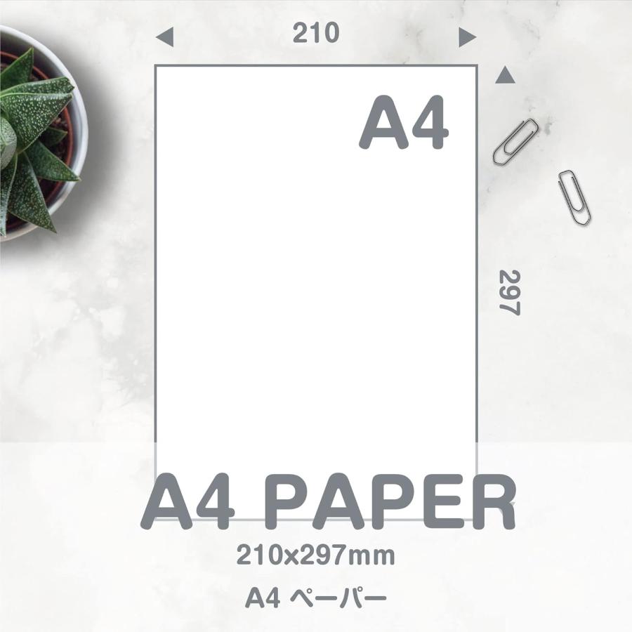 エトランジェ・ディ・コスタリカ A4フリーペーパー50クラフト PRNA4-A-01 : ネットショップACBヤフー店 - 通販 - Yahoo!ショッピング