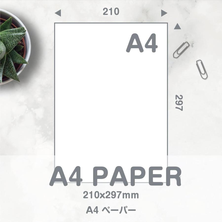 エトランジェ・ディ・コスタリカ 【2点まとめ】A4 フリーペーパー 80枚 ミズ PRNA4-P-06 : ネットショップACBヤフー店 - 通販 - Yahoo!ショッピング