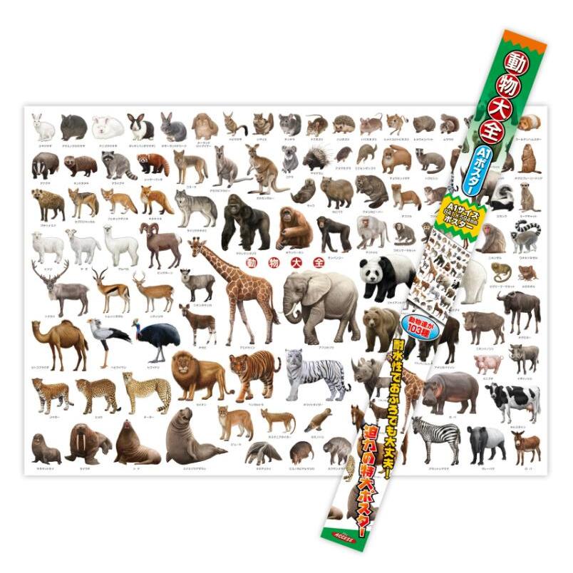 お風呂に貼れる 迫力の特大ポスター お風呂に貼れる 動物大全ポスター 103種類 (H594×W841mm ) A1サイズ インテリア 動物園 どうぶつ : mrs-4969077025148 ...