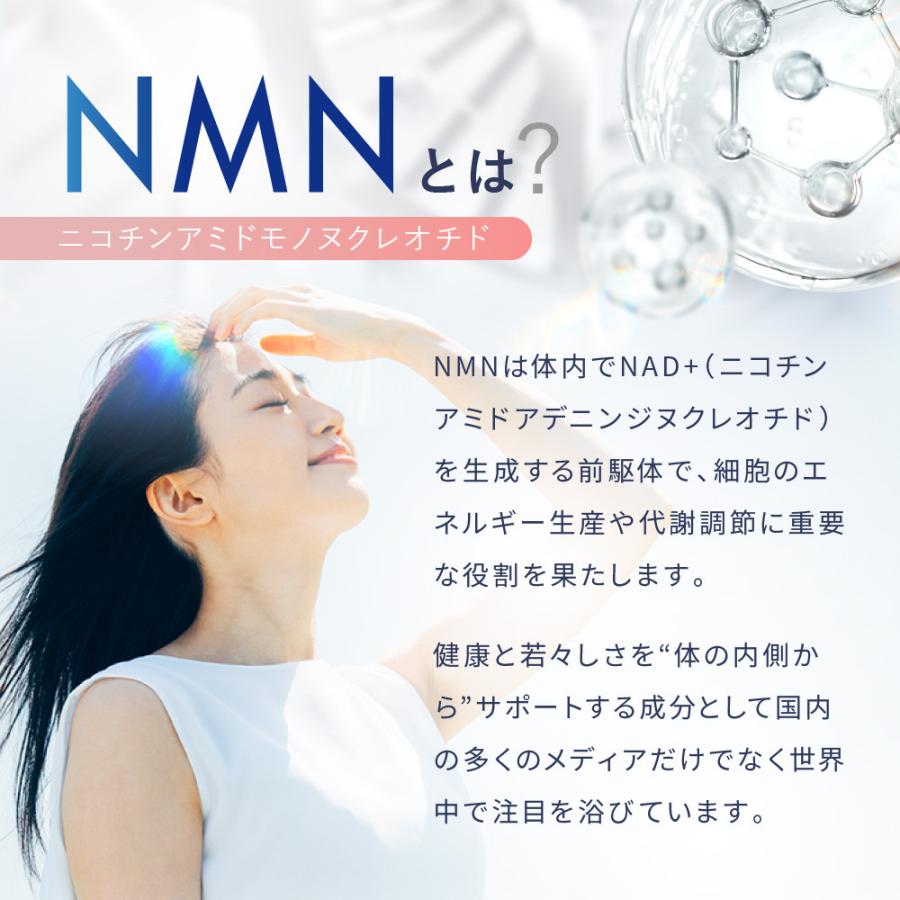 NMN サプリ サプリメント 25000mg 国内生産 1粒250mg 高純度 99.9% 100カプセル コエンザイムQ10 ヒアルロン酸 植物プラセンタ GMP認定工場 着色料不使用 ...