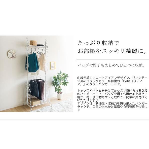 DS-HS3226N Lydia（リディア） ダブルハンガーラック BK/WH :hr-15-m932-071936:Next-Life-Style-NAGANO - 通販 - Yahoo ...