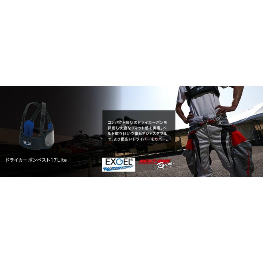 EXGEL エクスジェル ドライカーボンベスト17ライト/M レーシングカート用リブプロテクター女性 : NEXT-ONE Yahoo!店 - 通販 - Yahoo!ショッピング