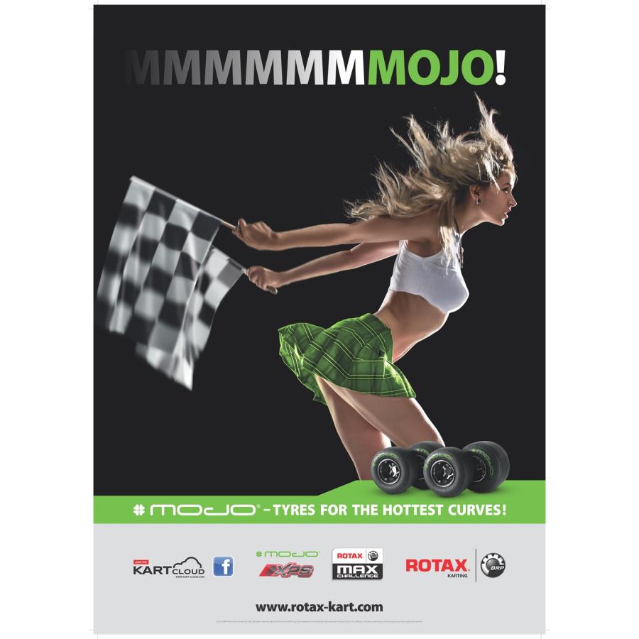 MOJO D1タイヤ ROTAX-MAXタイヤ 1セット : mojo-d1 : NEXT-ONE Yahoo!店 - 通販 - Yahoo!ショッピング