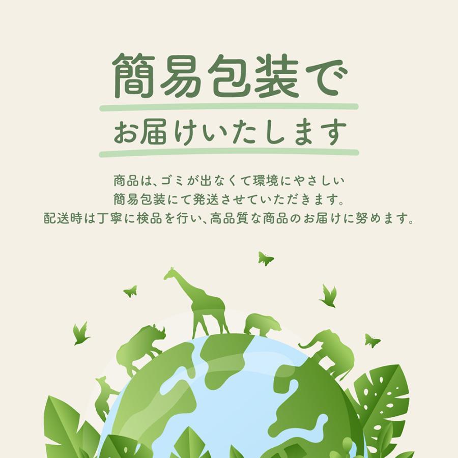 ショルダーバッグ a4 大きめ 2way 帆布 キャンバス ファスナー付き 通学 斜めがけ 肩掛けバッグ レディース 通勤 軽い 軽量 a4収納 a4サイズ : NEXTSTORE - 通販 ...