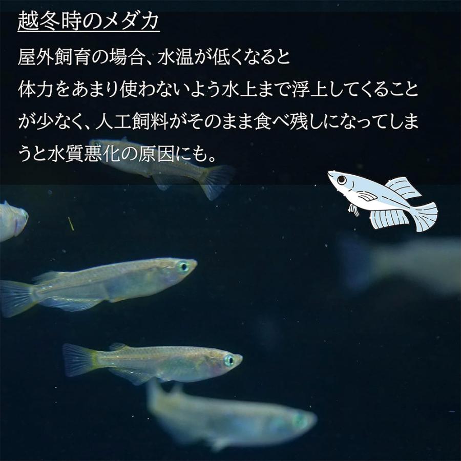 高濃度 PSB 光合成細菌 2L (1Lx2本) / 取り扱い説明書付き メダカ・金魚・熱帯魚 にも/パッケージリニューアル中 : BAYU STORE - 通販 - Yahoo!ショッピング