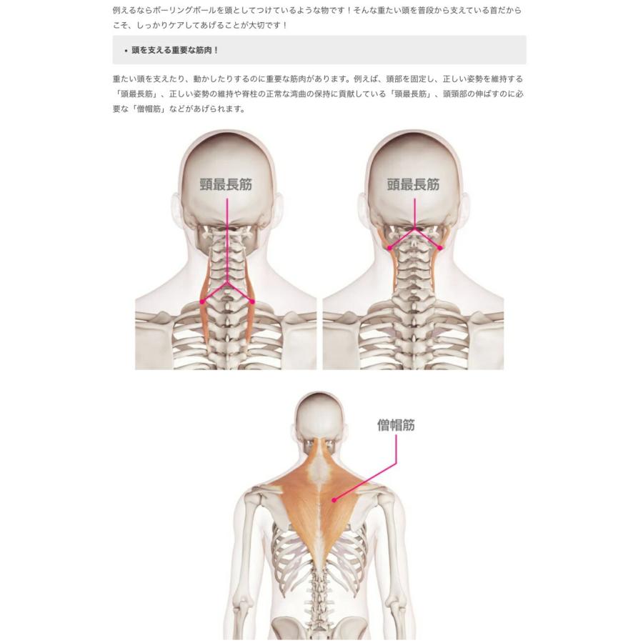 【おすすめ】 首筋ストレッチクッション Cellsh (首コリ 肩こり 簡単 ストレッチ テレワーク デスクワーク) : 20230404-001-take : NextField Yahoo ...