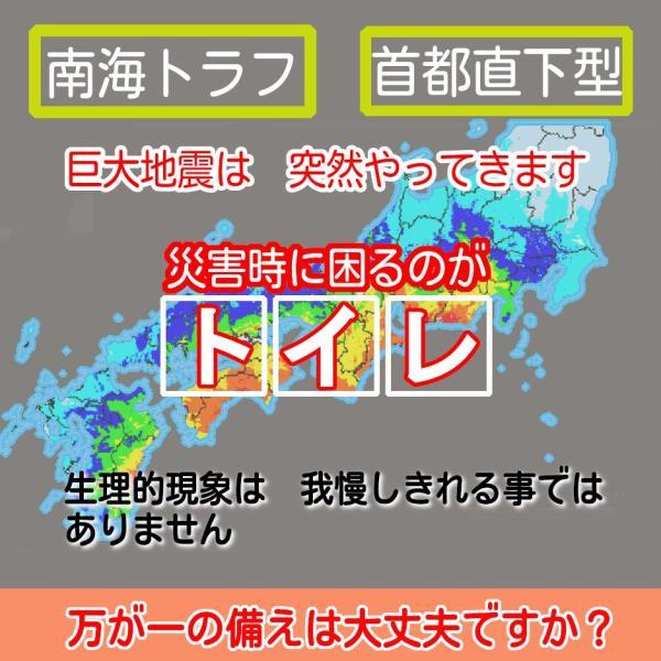 トイレ凝固剤のみ 簡易トイレ 凝固剤 防災士が考えた 銀イオンのちから 100回分 個包装 抗菌 消臭 日本製 非常用 防災グッズ 防災用品 非常用トイレ : nextwind - 通販 ...