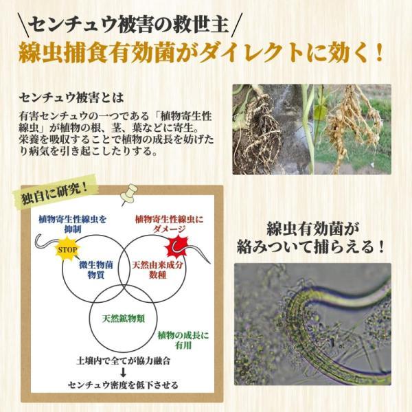 センチュウ駆除 土壌改良材 ハーベストライズNeo 5キロ 線虫 線虫捕食菌 農薬不使用 対策 ネコブセンチュウ ネグサレセンチュウ : nextwind - 通販 - Yahoo!ショッピング