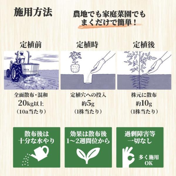 センチュウ駆除 土壌改良材 ハーベストライズNeo 5キロ 線虫 線虫捕食菌 農薬不使用 対策 ネコブセンチュウ ネグサレセンチュウ : nextwind - 通販 - Yahoo!ショッピング