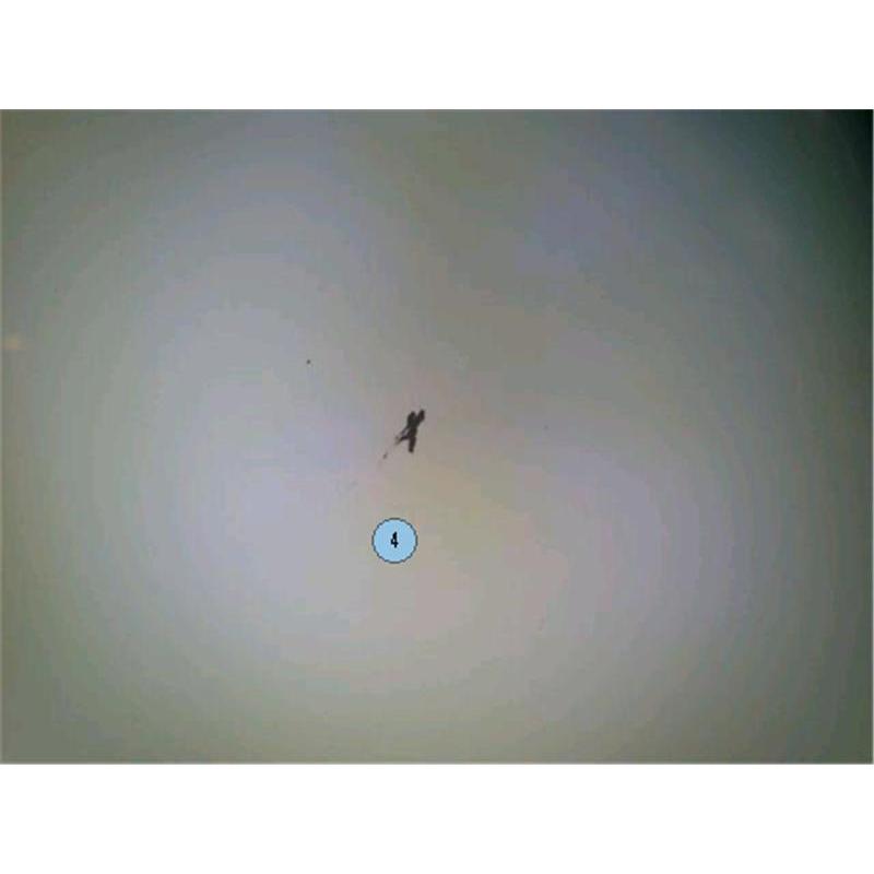 ダイハツ 純正 ハイゼット 《 S331V 》 バックドア 67005-B5181 P80700-23001944 : 80700-23001944 : NGPパーツ王ヤフーショッピング店 ...