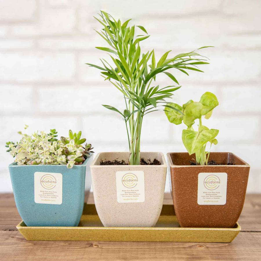 ecoforms QP1 ポット クアドラ1 | 環境に配慮したカラフルな植木鉢シリーズ : nic-nac Yahoo!ショッピング店 - 通販 - Yahoo!ショッピング