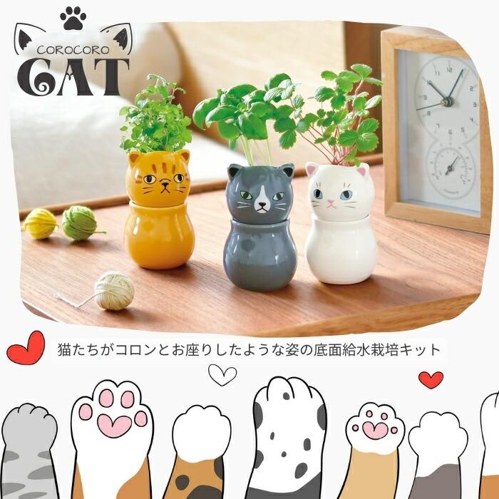 新生活 入園 入学 文房具セット付 COROCORO CAT ハーブ栽培キット ねこ ミント バジル ワイルドストロベリー お料理 子供 家庭 ...